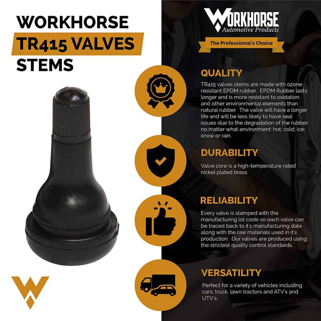 TR413 Passenger Tire Valves, Replacement Valve Stems Pack of 100 ...